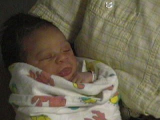 Baby Berry -- page 1